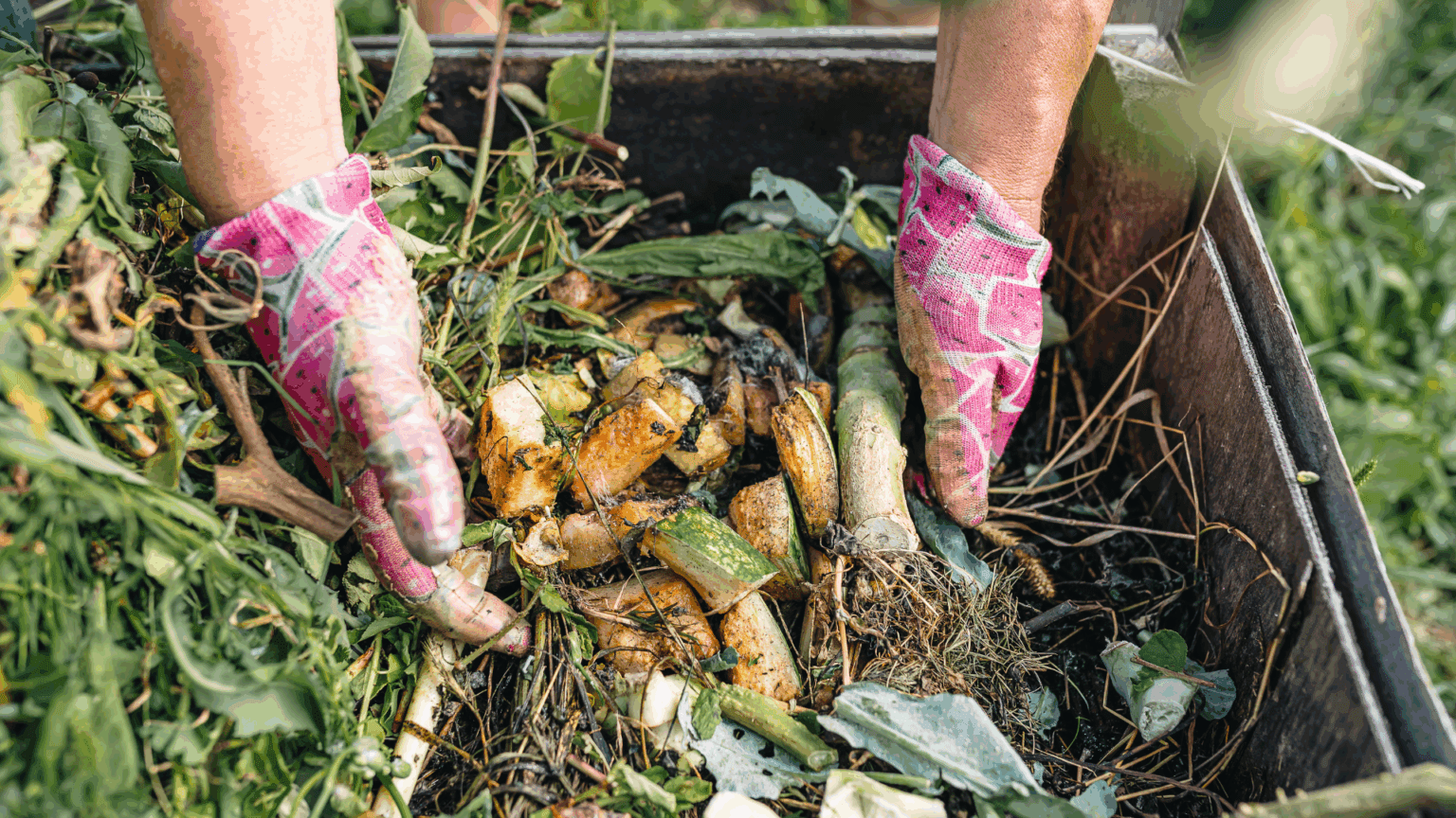 Composting and worm farms for seniors - Community Plate